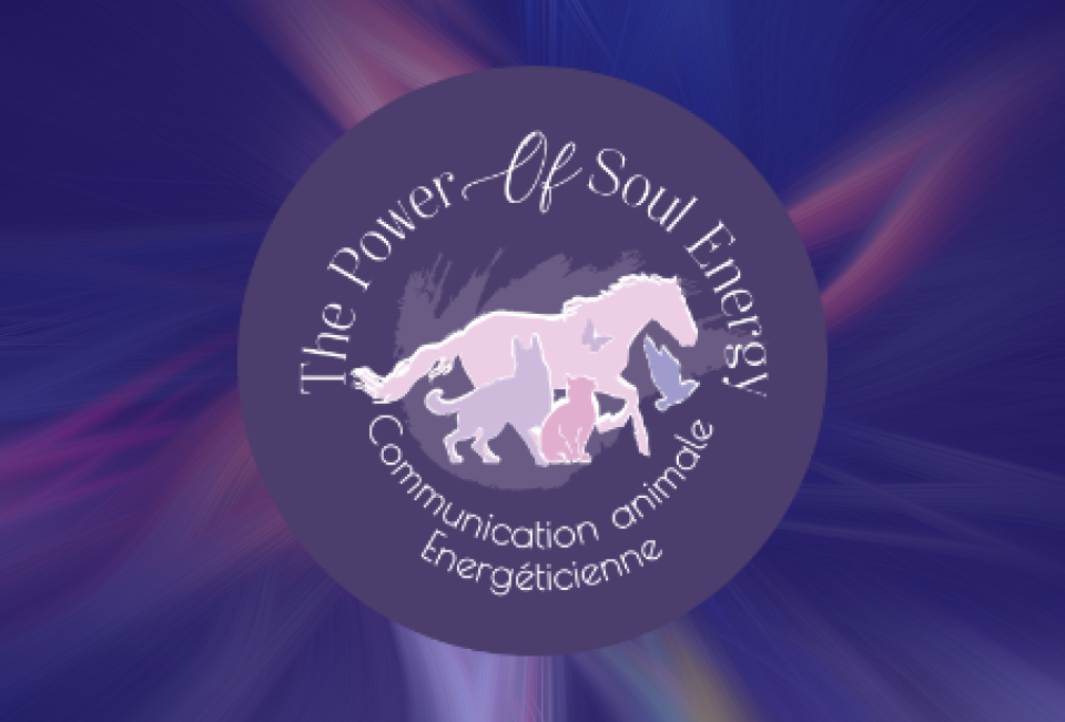 The Power of Soul Energy - Nathalie Expeels Coach en Communication ...